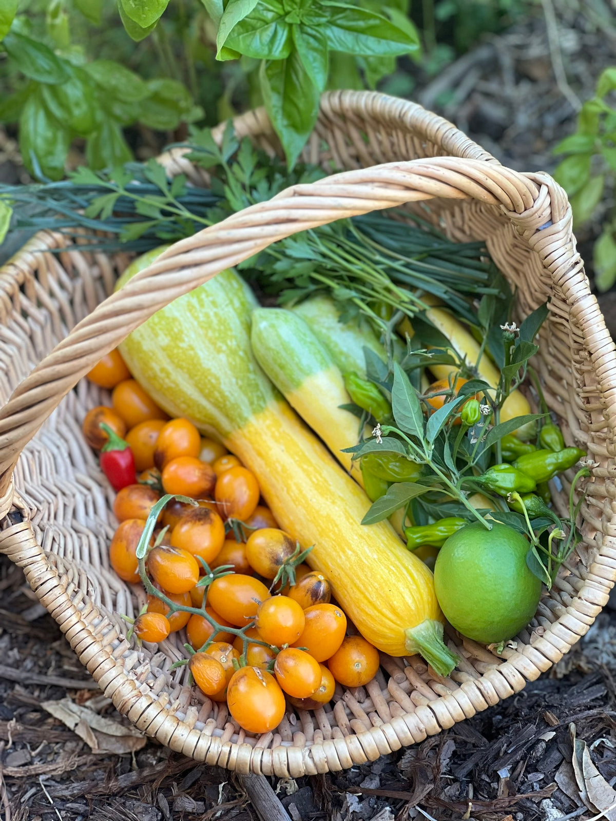 Garden to Table: Simple Seasonal Italian Dinner Recipes | Gratsi
