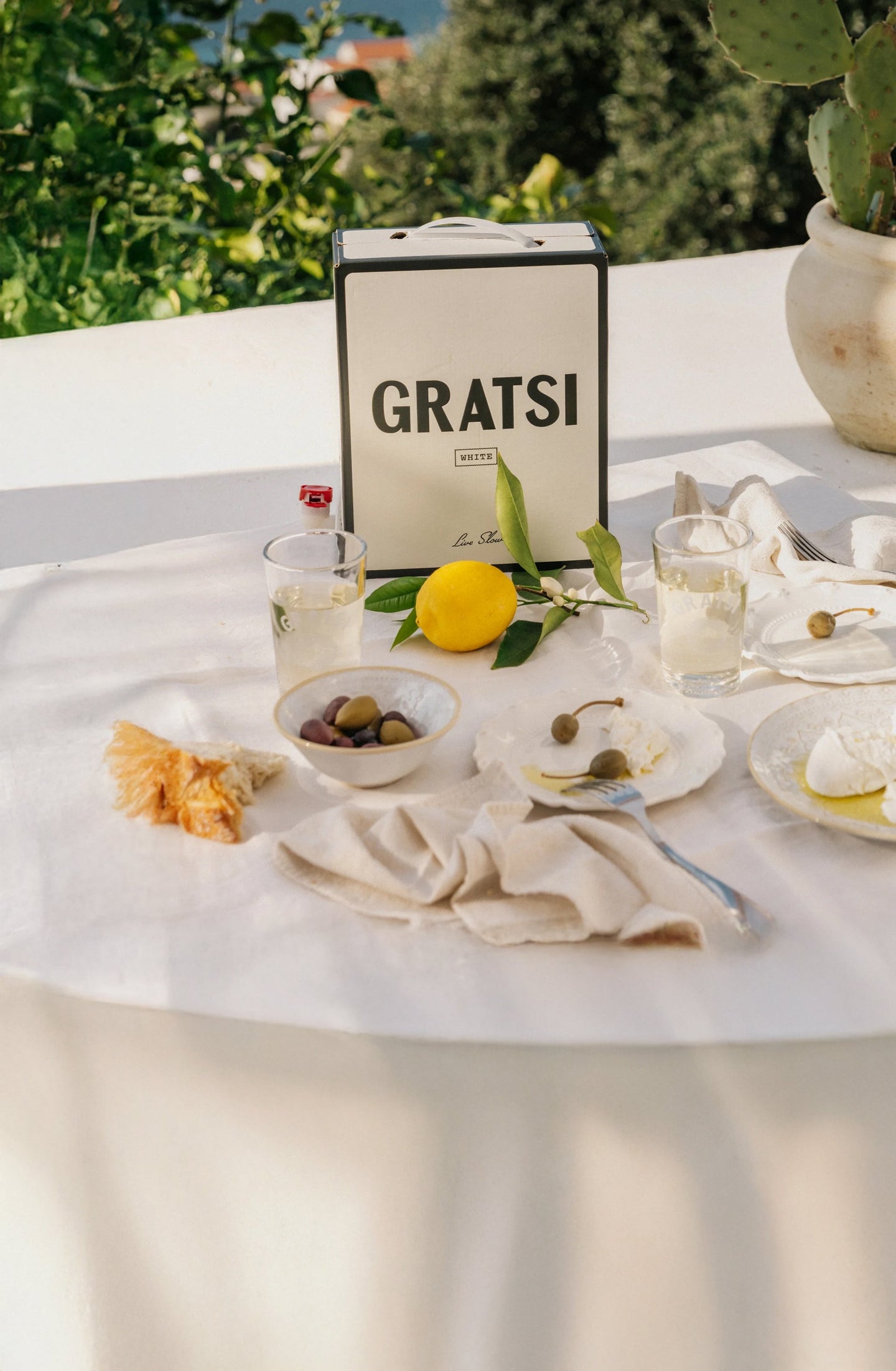 Gratsi Named Best Boxed Wine by USA Today | Gratsi