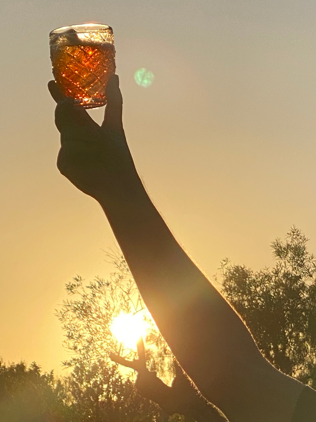 Toasting Rituals & Cheers: Your Complete Guide | Gratsi